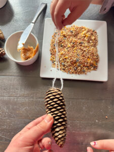 Make Your Own Fun Pinecone Bird Feeder Activity - Hands That Bless