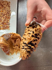 Make Your Own Fun Pinecone Bird Feeder Activity - Hands That Bless
