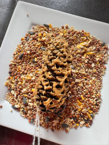 Make Your Own Fun Pinecone Bird Feeder Activity - Hands That Bless